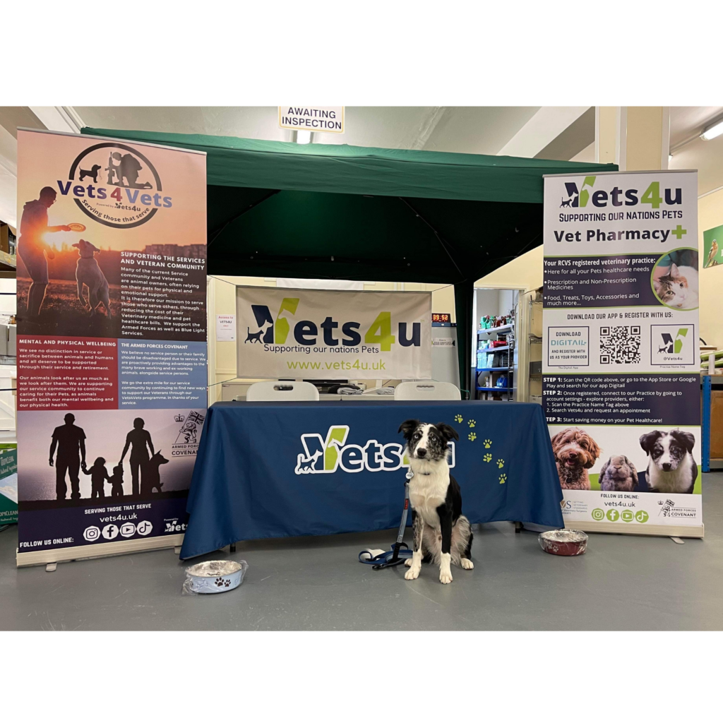 Roller Banner (850mm x 2000mm) - KBT